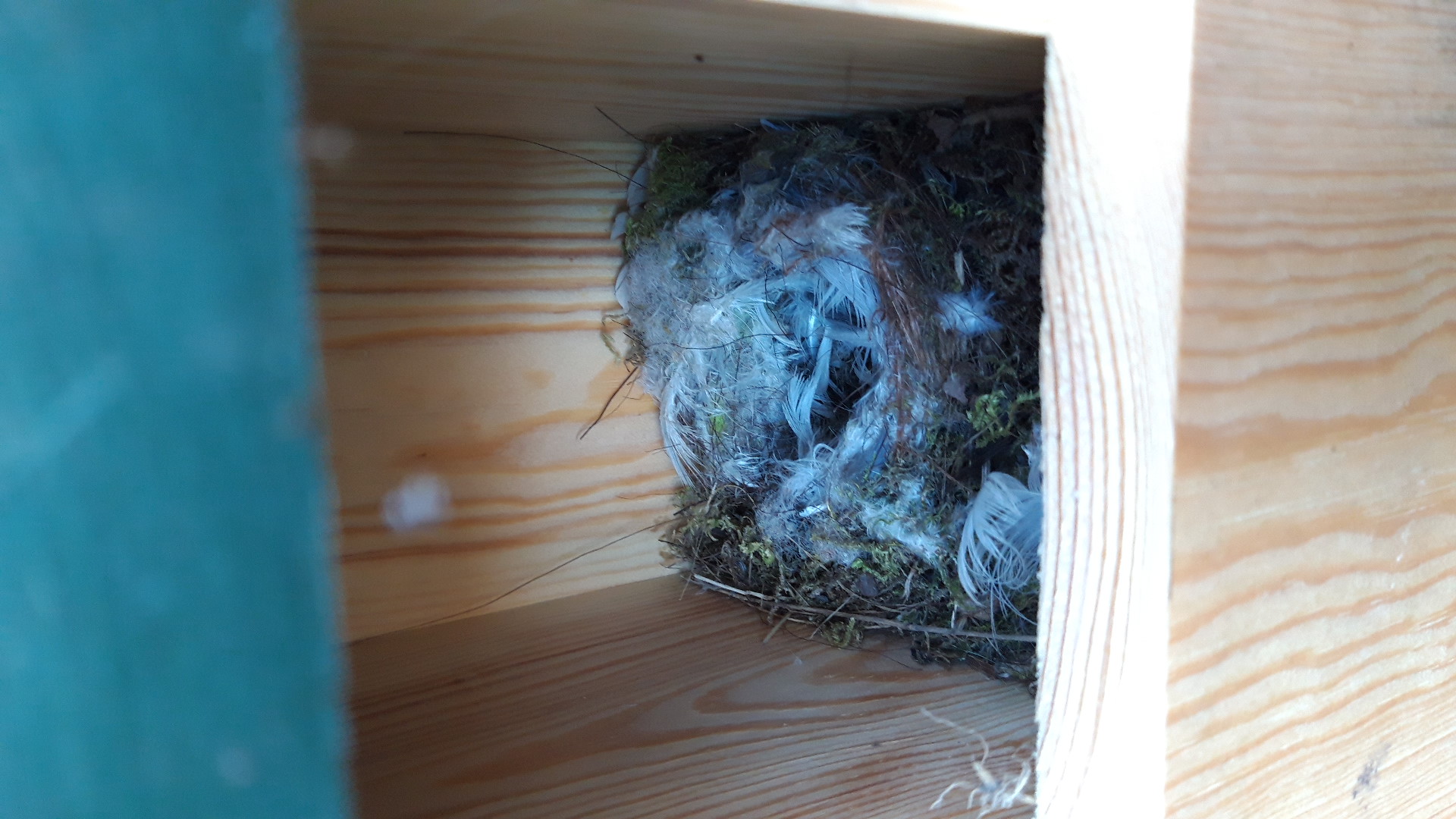 Summer 2023 - Pettifor Trust