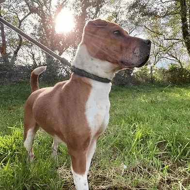 Summer 2024 - Pettifor Trust