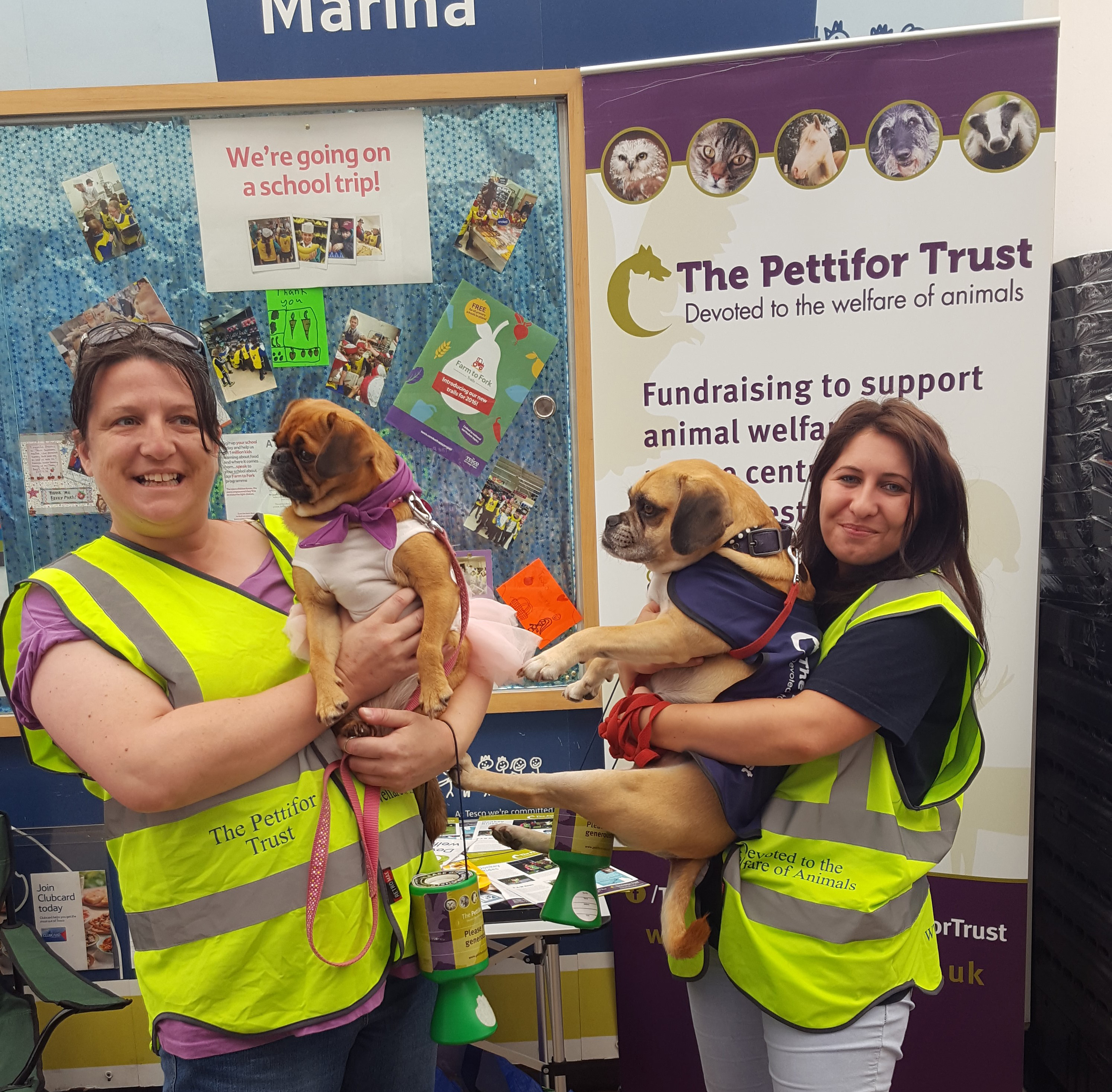 Getting Involved - Pettifor Trust